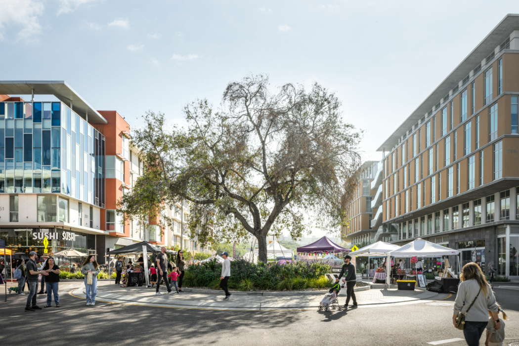 Safdie Rabines Architects